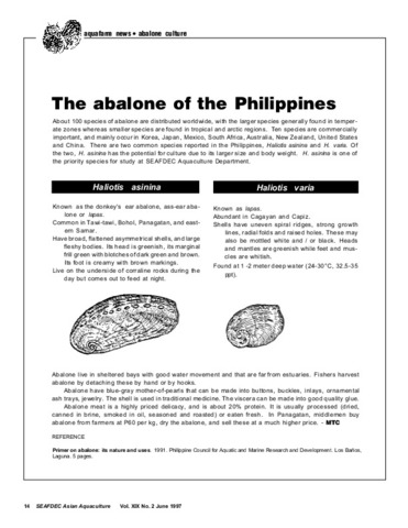 The abalone of the Philippines