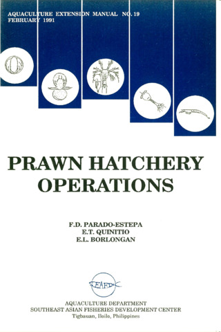 Prawn hatchery operations