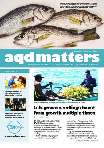 AQD Matters 2024 November - December
